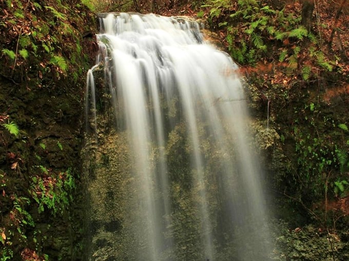 Nature's magic show in full swing &ndash; Florida's tallest waterfall cascades 73 feet into a mysterious limestone sinkhole, disappearing like a magician's best trick.