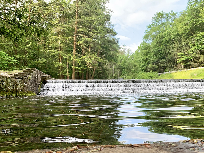 The cascading waters of Ravensburg's historic dam create nature's perfect soundtrack. Somehow more soothing than any meditation app you've downloaded and forgotten about.