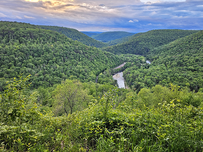 Loyalsock Creek carves its way through the valley like nature's own highway system, minus the road rage and with significantly better views.