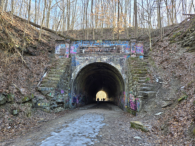 The entrance to Moonville Tunnel stands like a portal to another time, its graffiti-covered facade a colorful contrast to the surrounding forest.