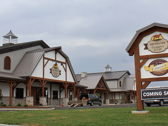 The barn-inspired architecture of Lapp Valley Farm welcomes visitors with its distinctive cupolas and wooden beams, blending traditional Amish craftsmanship with modern comfort.