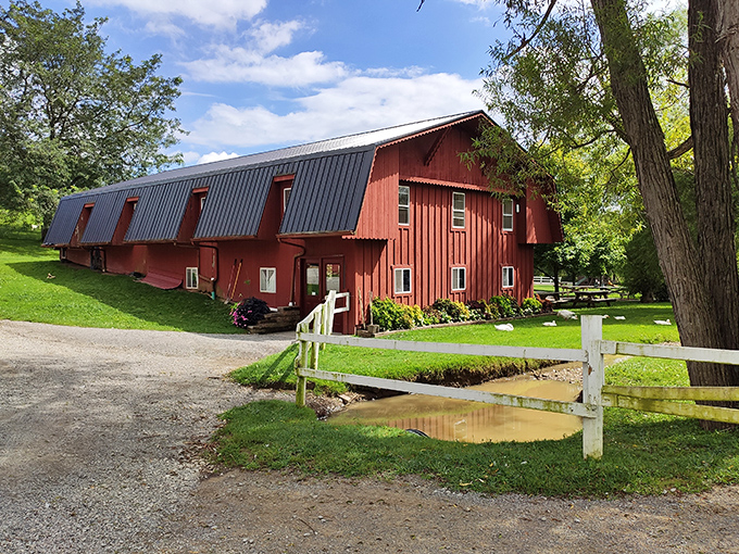 The iconic red barn at Yoder's stands as a timeless sentinel against Ohio's blue skies, reminding us that some architectural classics never need updating.