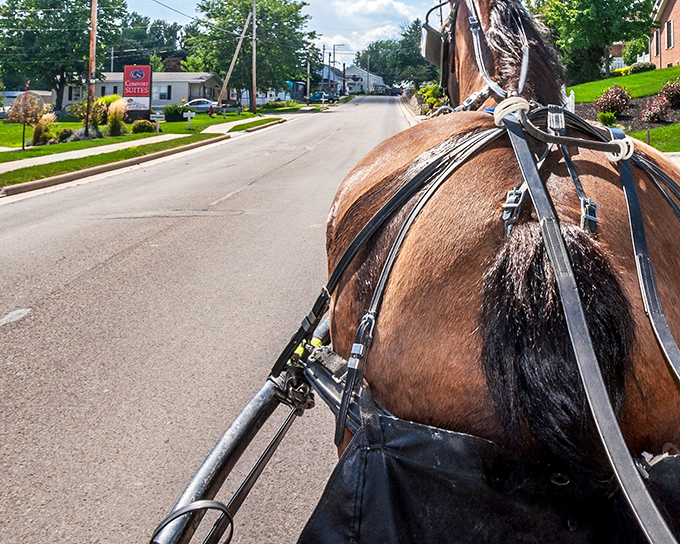 Main Street simplicity with a side of charm &ndash; Berlin's unassuming thoroughfare hides culinary treasures that would make metropolitan food critics book a one-way ticket to Holmes County.