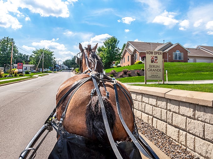 Horse-drawn transportation isn't just for history books&mdash;it's Tuesday in Berlin. Where else can your GPS be replaced by the gentle clip-clop of hooves?