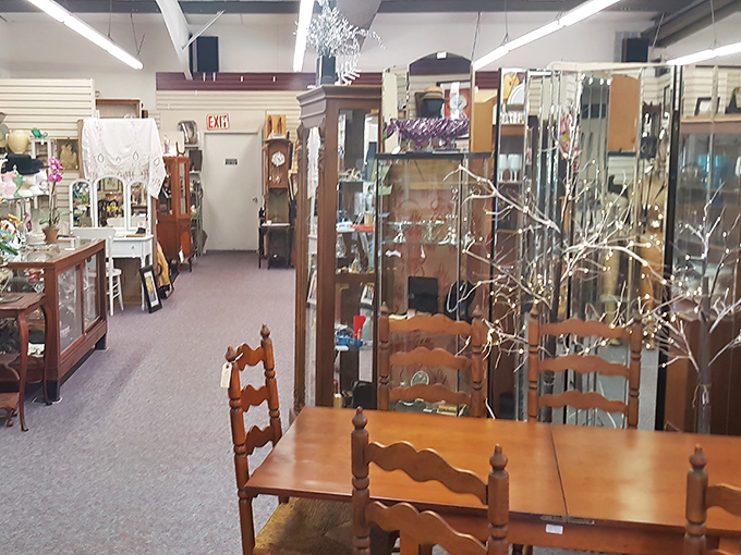 Step into this wonderland of yesteryear where every aisle promises discovery. The organized chaos somehow makes perfect sense to treasure hunters.