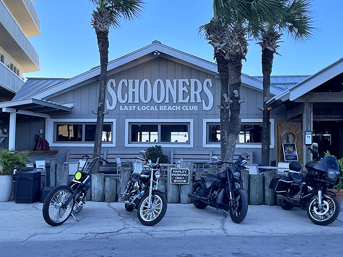 The ultimate beach bum's paradise! Schooners proudly declares itself the "Last Local Beach Club," with motorcycles parked out front like exclamation points to that statement.