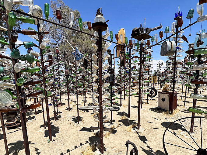 An automotive time capsule sits among metal trees adorned with colorful bottles, like some desert mirage where vehicles come to retire with dignity.