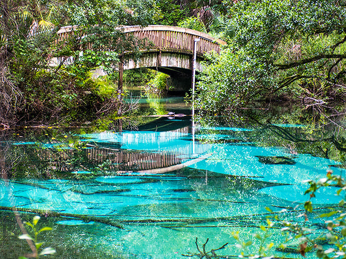 Nature's mirror at its finest &mdash; Juniper Springs&rsquo; crystal-clear waters perfectly reflect a charming wooden footbridge and lush greenery in a scene so surreal, it looks like a dream.