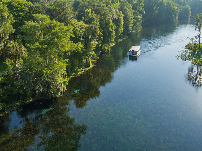 Paddleboarding through Silver Springs feels like gliding across nature's mirror &ndash; where the sky meets water and time slows to the perfect vacation pace. 