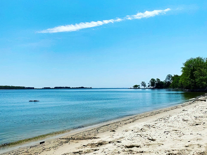 The sandy shores of Rocky Point offer a perfect escape where the Chesapeake Bay whispers secrets to those willing to listen.