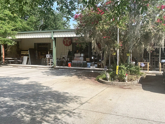 The unassuming exterior of Sugar Bear Antiques hides a wonderland of treasures beneath Florida's iconic Spanish moss. Like finding a secret passage in your childhood home!