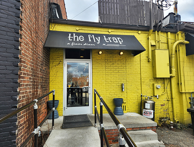 The sunshine-yellow exterior of The Fly Trap isn't just eye-catching&mdash;it's nature's way of saying "good food happens here." Like a culinary lighthouse on Woodward Avenue.