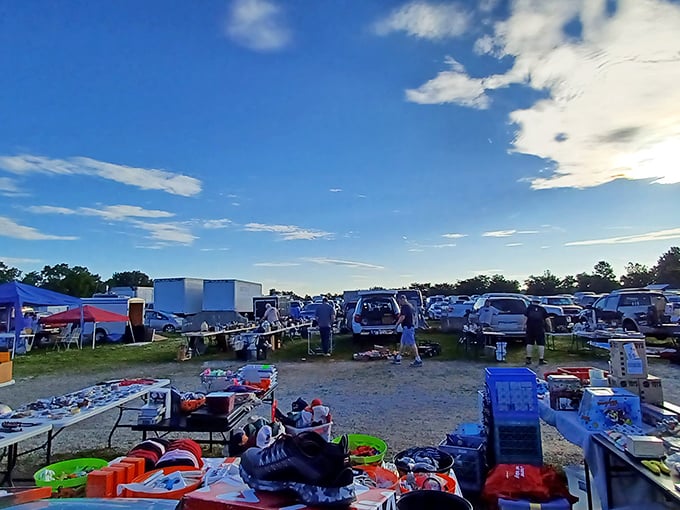 Treasure hunting paradise! Rows upon rows of cardboard boxes filled with potential gems await the curious bargain-seeker at Williams Grove's sprawling marketplace.