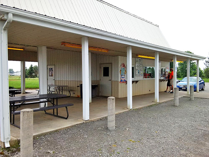 This barn-style beauty proves that the best treasures often hide behind the most unassuming facades.