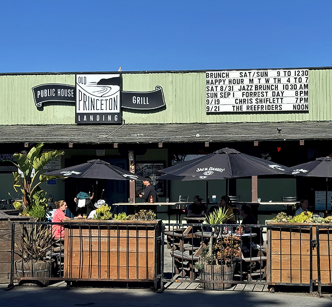The mint-green exterior beckons like a coastal mirage, promising cold drinks and hot meals after a day of battling Highway 1 traffic.