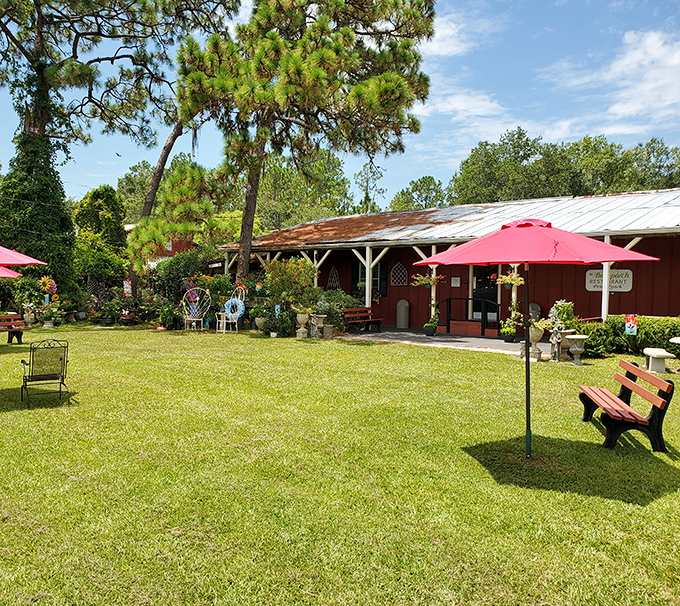 A slice of Old Florida heaven awaits under towering pines, where the red barn-like exterior and sprawling lawn invite you to slow down before your first bite.