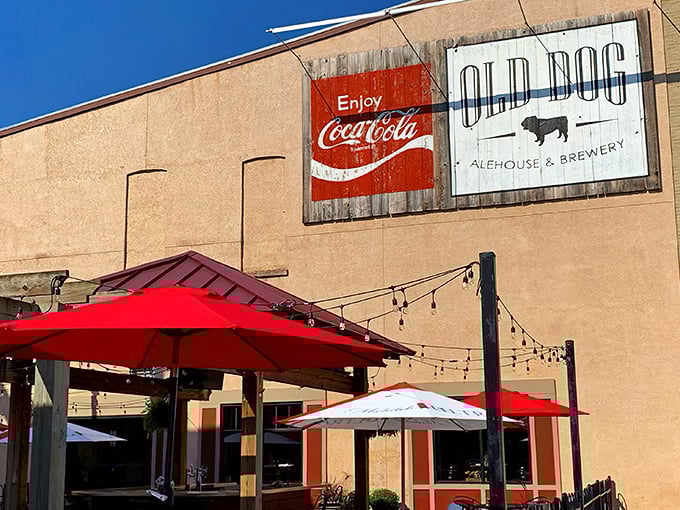 The vintage Coca-Cola sign paired with Old Dog's rustic wooden signage feels like stumbling upon a secret clubhouse for food lovers. The red umbrellas beckon like old friends.