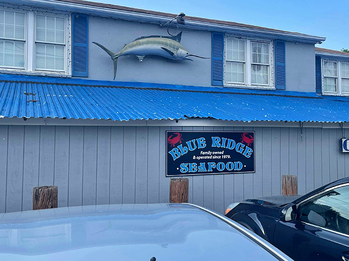 The unassuming blue-gray exterior hides seafood treasures within, like finding Neptune's pantry tucked away on Route 29.