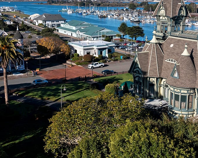 Eureka's waterfront offers a postcard-perfect blend of Victorian charm and maritime bustle. The Carson Mansion stands guard while boats gently bob in the harbor.
