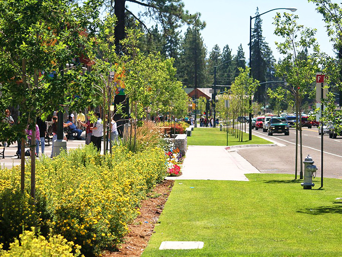 Downtown South Lake Tahoe blooms with carefully manicured greenery and pedestrian-friendly walkways, where nature and urban planning shake hands like old friends.
