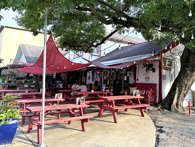 The iconic red picnic tables at Lankford's beckon like a burger siren song under the watchful gaze of that magnificent shade tree.