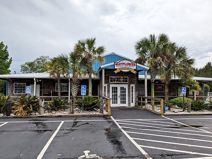Palms standing guard at this maritime haven, the Mayflower's blue-trimmed facade promises seafood treasures within, no passport required. 