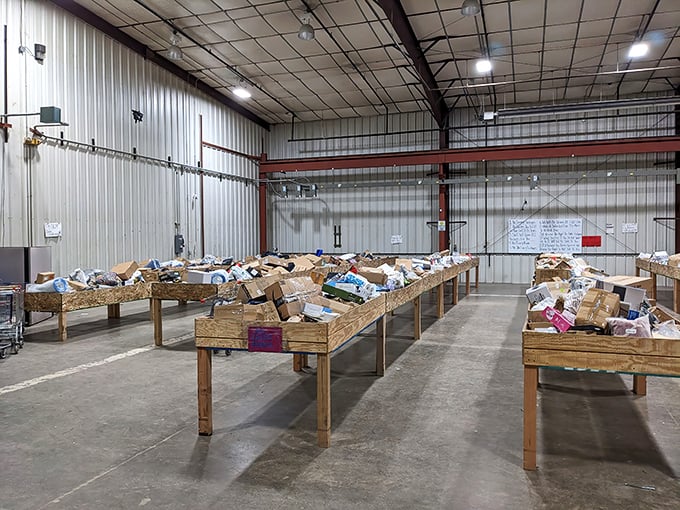 Treasure hunting paradise! Rows of wooden bins filled with potential bargains stretch across the concrete floor of Anderson Bargain Bins, waiting for eager shoppers to discover hidden gems.