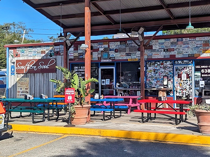 The pilgrimage begins here: colorful picnic tables, license plate-adorned walls, and that unmistakable aroma of hickory smoke that'll haunt your dreams.