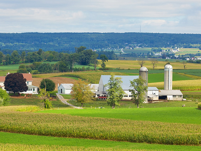 Amish country unfolds like a patchwork quilt&mdash;fields of gold, green, and amber stretching toward rolling hills, with classic white barns standing sentinel under impossibly blue skies.