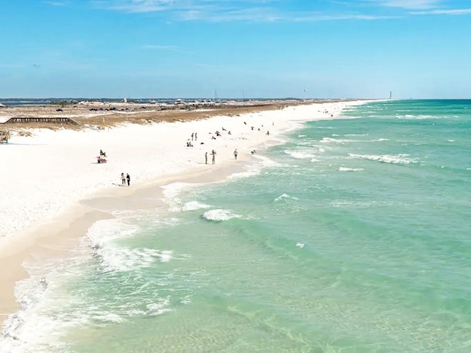 Where emerald meets ivory: A lone shorebird conducting its morning beach inspection against a backdrop that looks suspiciously like my computer screensaver come to life.