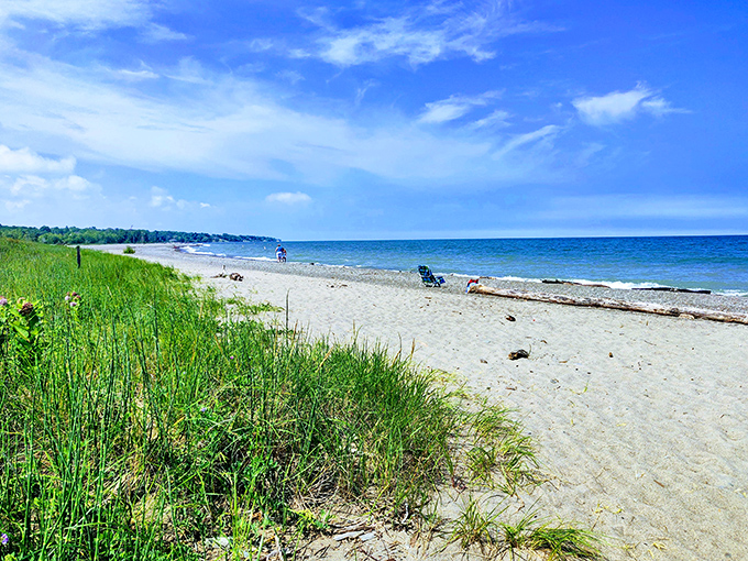 Miles of golden sand stretch along Lake Erie's shore, proving Ohio can deliver coastal vibes without the coastal price tag.