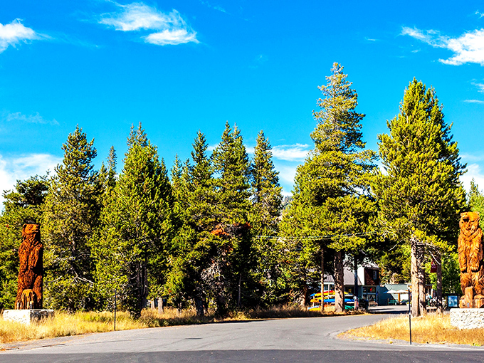 The iconic wooden bear sentinels of Arnold welcome visitors with stoic charm, standing guard between towering pines and blue Sierra skies.