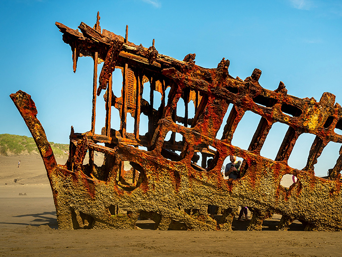 Nature's slow-motion art installation: the rusted skeleton of the Peter Iredale stands defiant against time, a century-old maritime memorial on Oregon's unforgiving coastline.