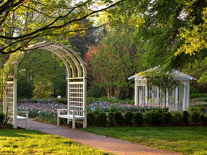 The historic Bloemendaal House stands as a testament to the garden's rich past, its stately presence enhanced by a magnificent golden ginkgo tree.