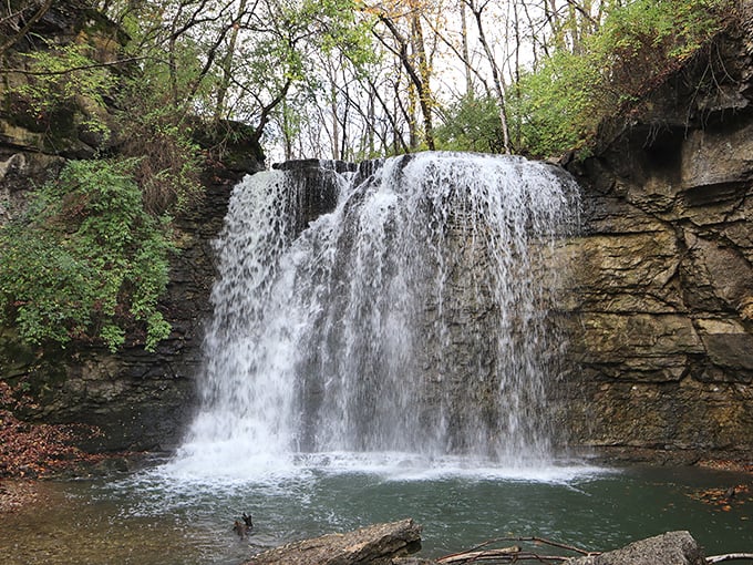 Nature's own magic show! The 35-foot cascade of Hayden Falls creates a mesmerizing display as water tumbles over ancient limestone, carving its story into the Ohio landscape.