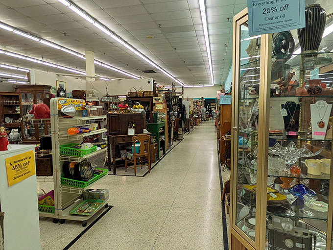 Long aisles of treasures stretch into the distance, where one person's forgotten knick-knack becomes another's prized possession. Every shelf tells a story.