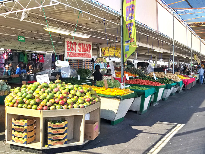 The sprawling San Jose Capitol Flea Market is where Silicon Valley's tech wizards and treasure hunters converge to find analog joys in a digital world.