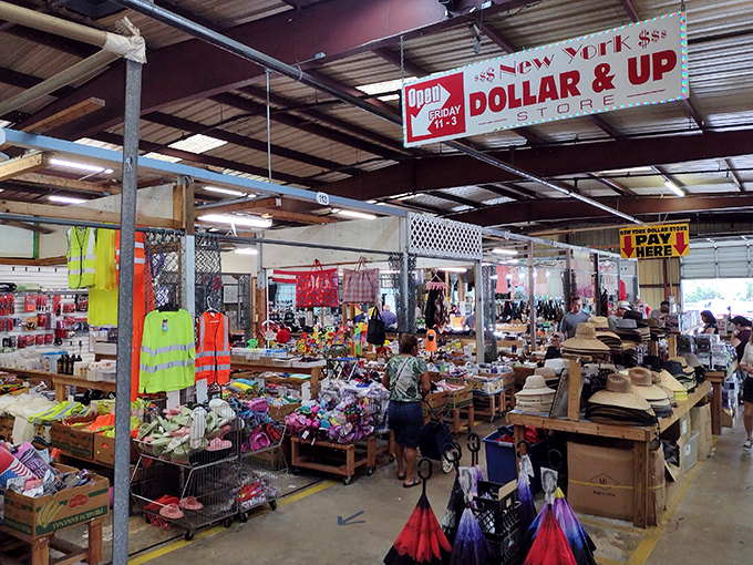 Sports gear galore! Where weekend warriors and bargain hunters unite under one gloriously chaotic roof.