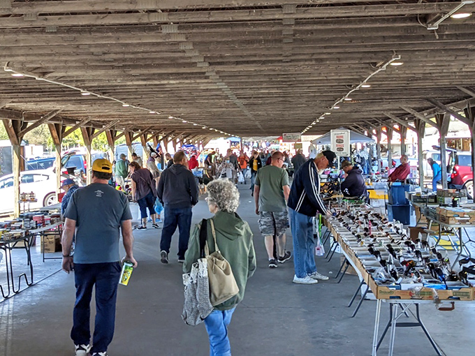 The covered pavilion at Rogers Flea Market buzzes with treasure hunters navigating tables laden with possibilities. Every aisle promises that next great find just waiting to be discovered.