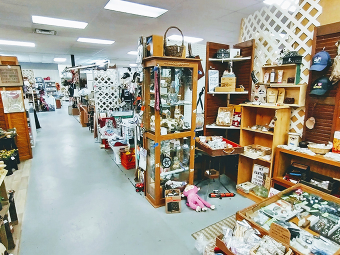 Books, DVDs, and collectibles line the shelves at Miller's Crossing Fleatique&mdash;where one person's forgotten treasures become another's prized discoveries.