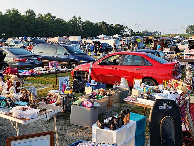 The treasure hunter's paradise stretches as far as the eye can see, with cars and tents creating a temporary city of possibilities.