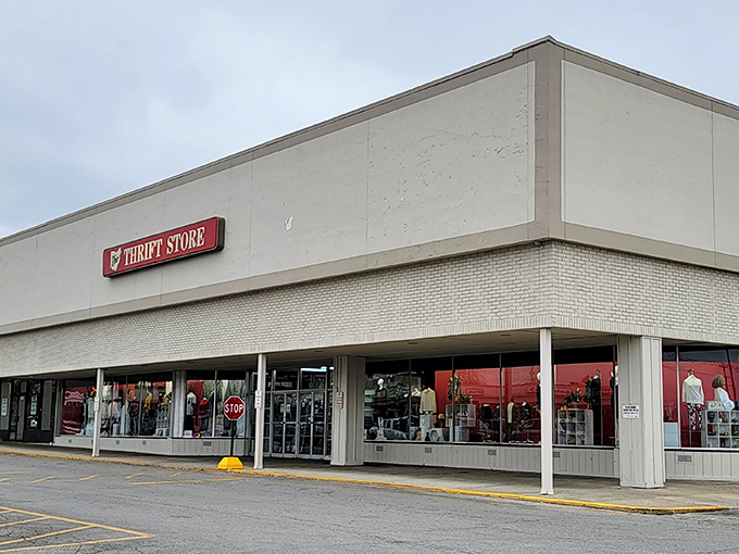 The unassuming exterior of Ohio Thrift belies the treasure trove within. Like a Vegas casino, once you enter, you may lose all sense of time.
