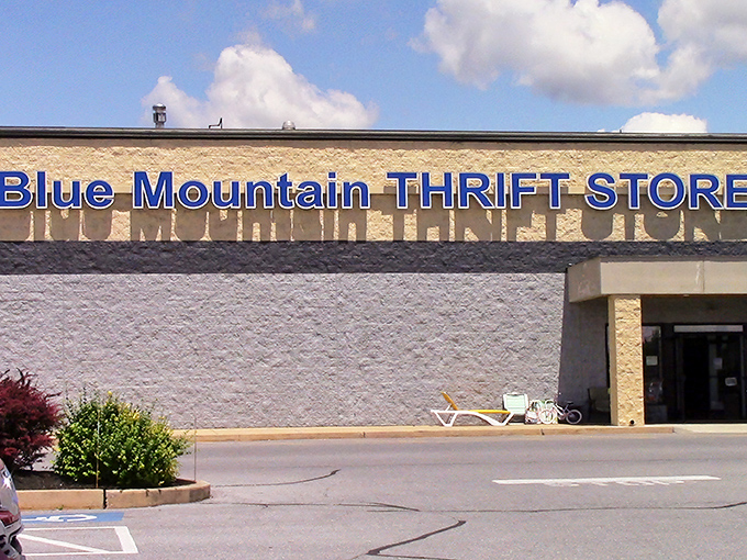 The unassuming exterior of Blue Mountain Thrift Store hides a treasure trove that would make Indiana Jones rethink his career path.