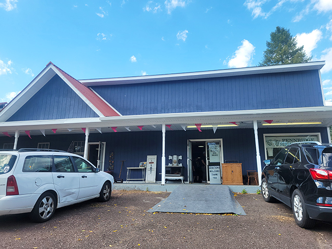 The unassuming blue exterior with cheerful pennant flags is like a treasure chest disguised as a garden shed. Adventure awaits inside!