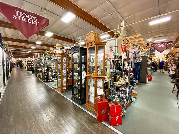 Tempe Street stretches into infinity, flanked by treasures from every era. One wrong turn and you might emerge decades later with armfuls of newfound obsessions.