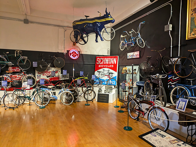 Rows of gleaming vintage bicycles stand at attention like a two-wheeled time machine. History you can almost ride, if not for those pesky "Do Not Touch" signs.