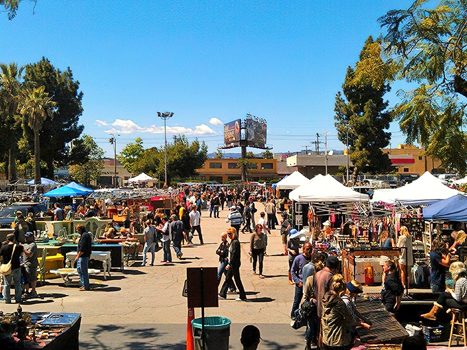 Sunday mornings at Melrose Trading Post transform ordinary parking lots into treasure-hunting paradise for bargain seekers. 