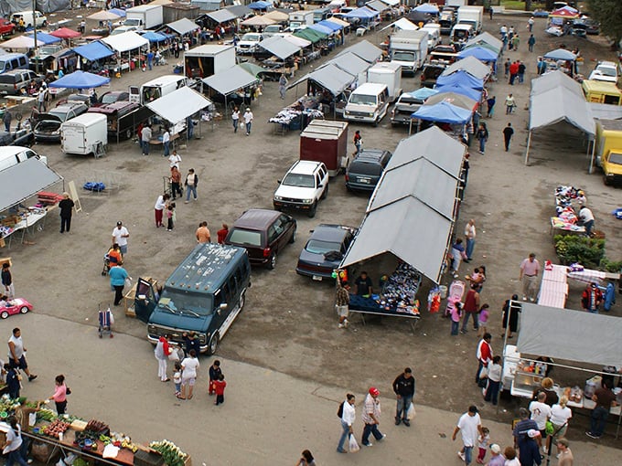 An aerial view reveals the bustling heart of Plant City's market ecosystem&mdash;trucks laden with fresh harvests creating a colorful patchwork of agricultural abundance.