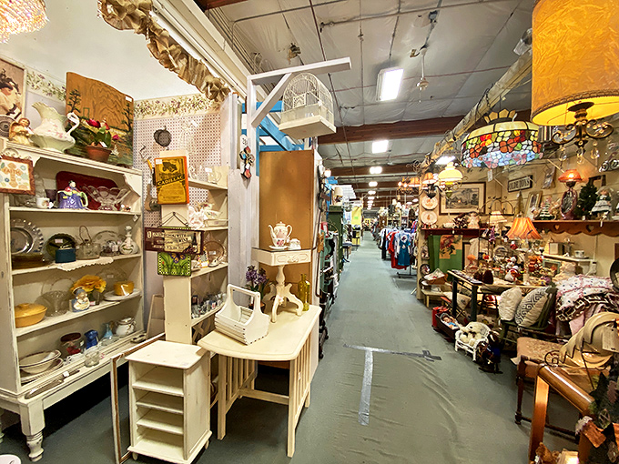 Treasure hunters, take note! The aisles of Brass Armadillo stretch into infinity, each booth a portal to another era waiting to be explored.