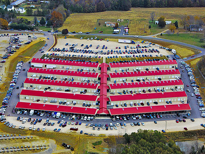 The iconic red roofs of Webb Road Flea Market stand out against Carolina's autumn foliage like a beacon calling all treasure hunters to their weekend adventure.